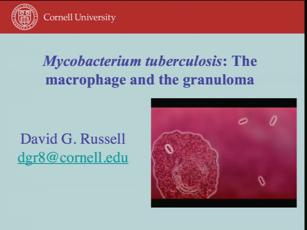Mycobacterium tuberculosis: The macrophage and the granuloma